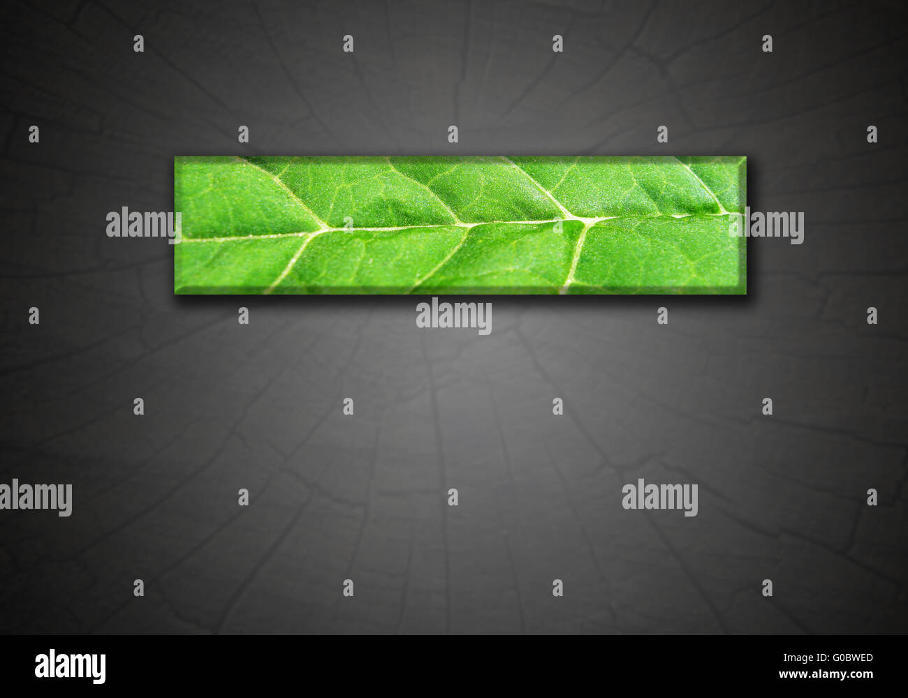 Dar green texture hi-res stock photography and images - Alamy