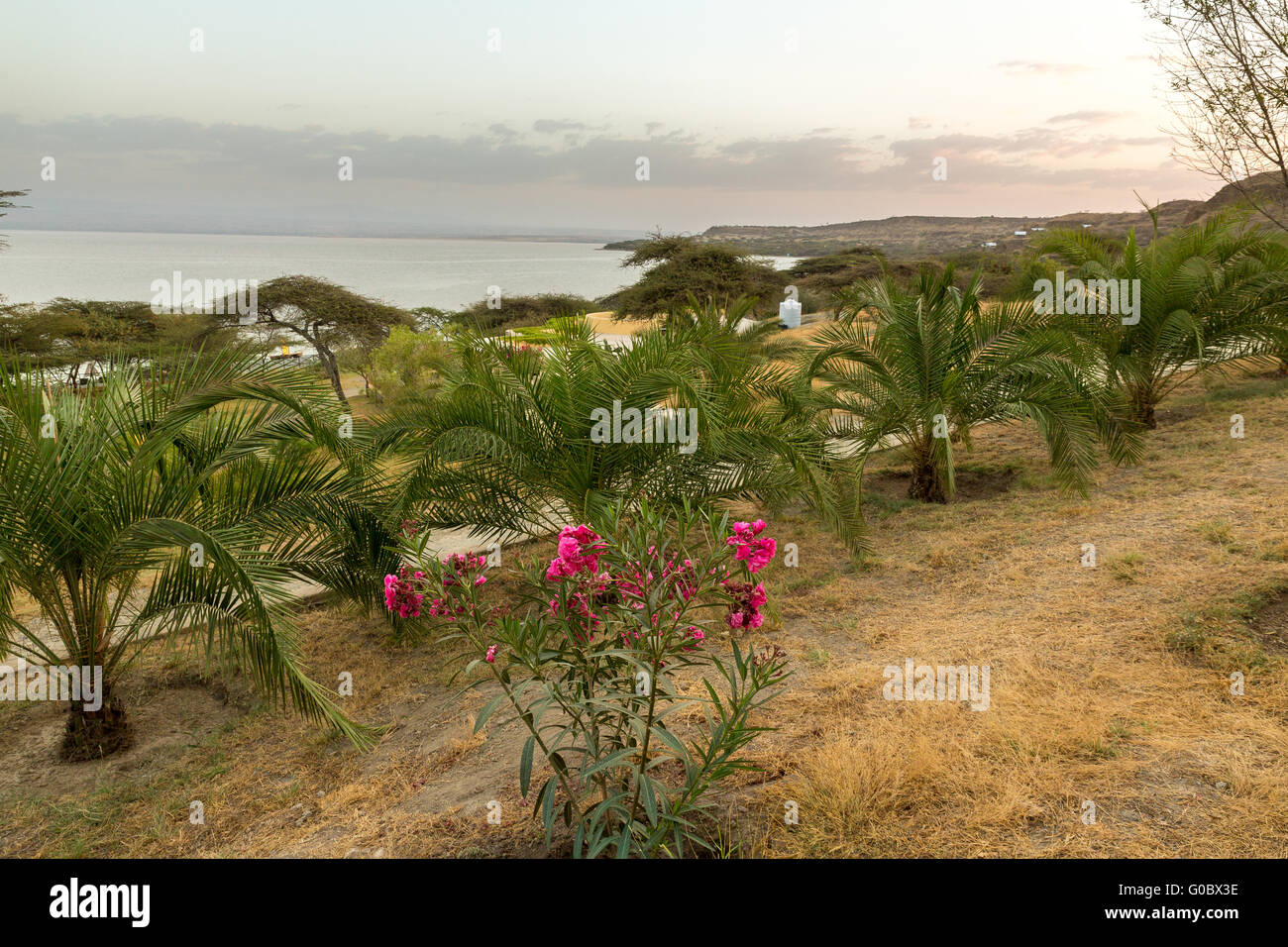 Shores of Langano Lake Stock Photo - Alamy