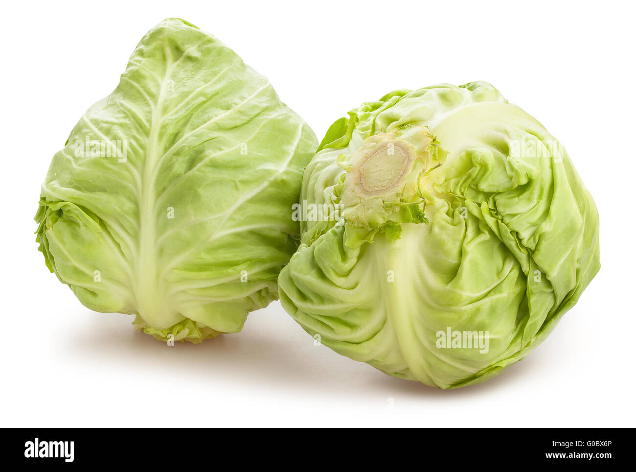 Round cabbage leaf hi-res stock photography and images - Alamy