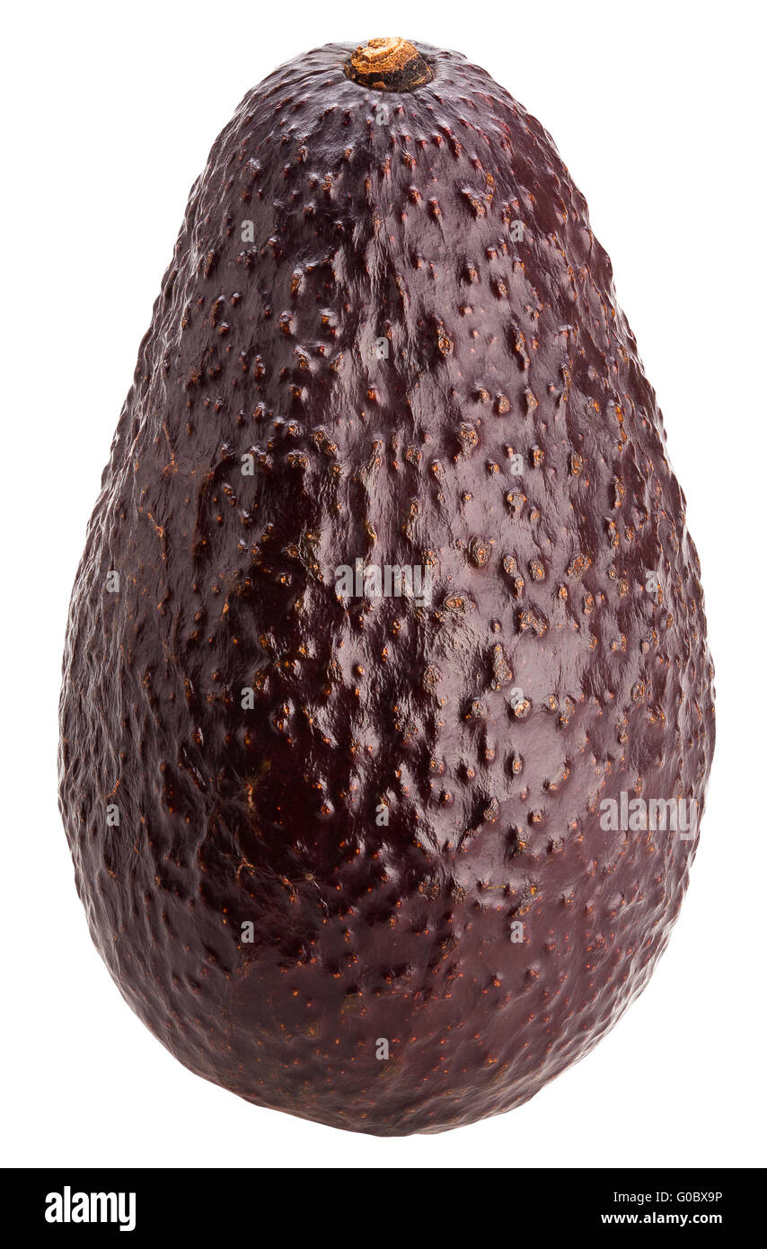 Hass High Resolution Stock Photography and Images - Alamy