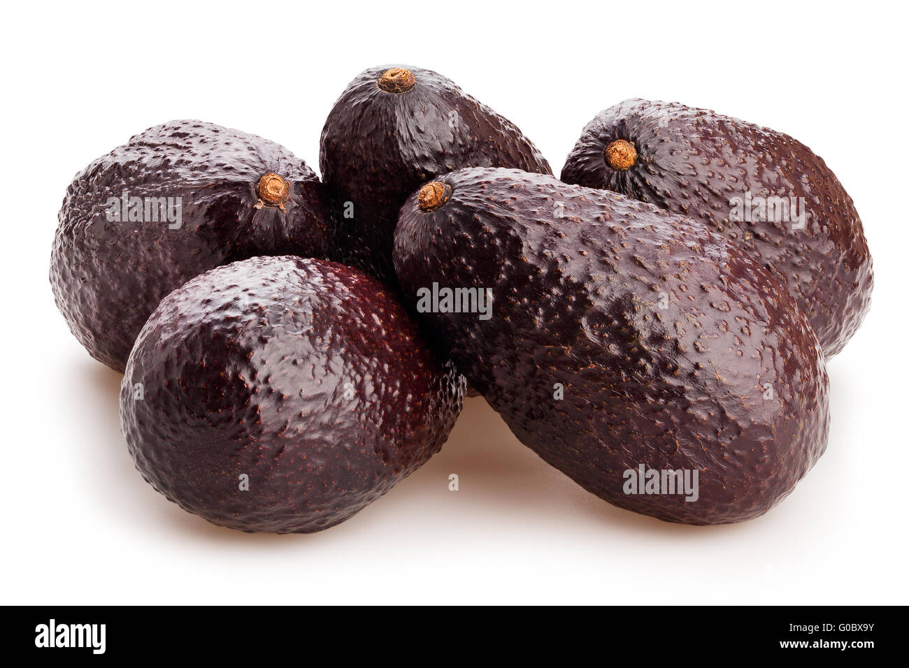Hass Cut Out Stock Images & Pictures - Alamy