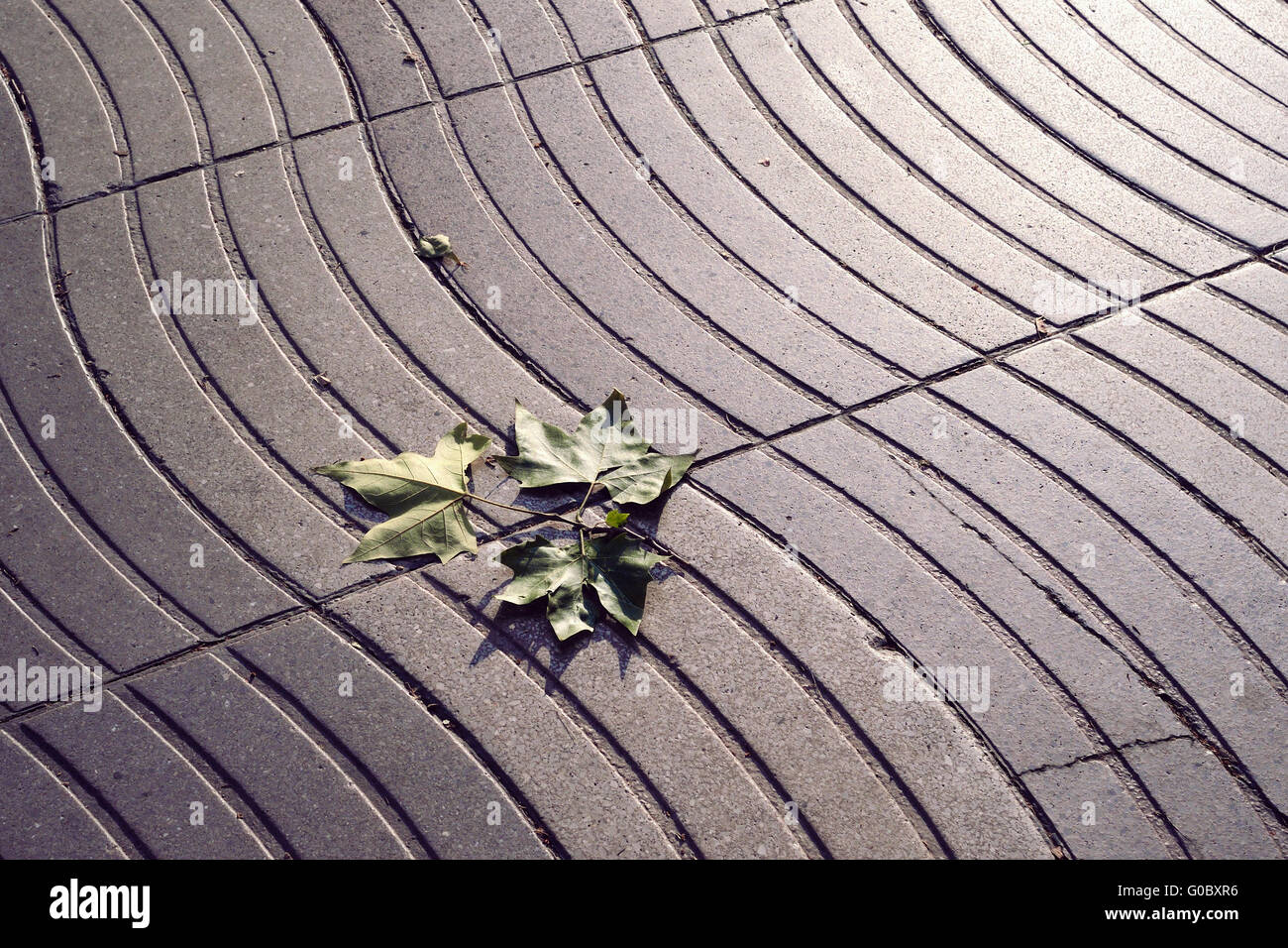 Wave pavement pattern hi-res stock photography and images - Alamy