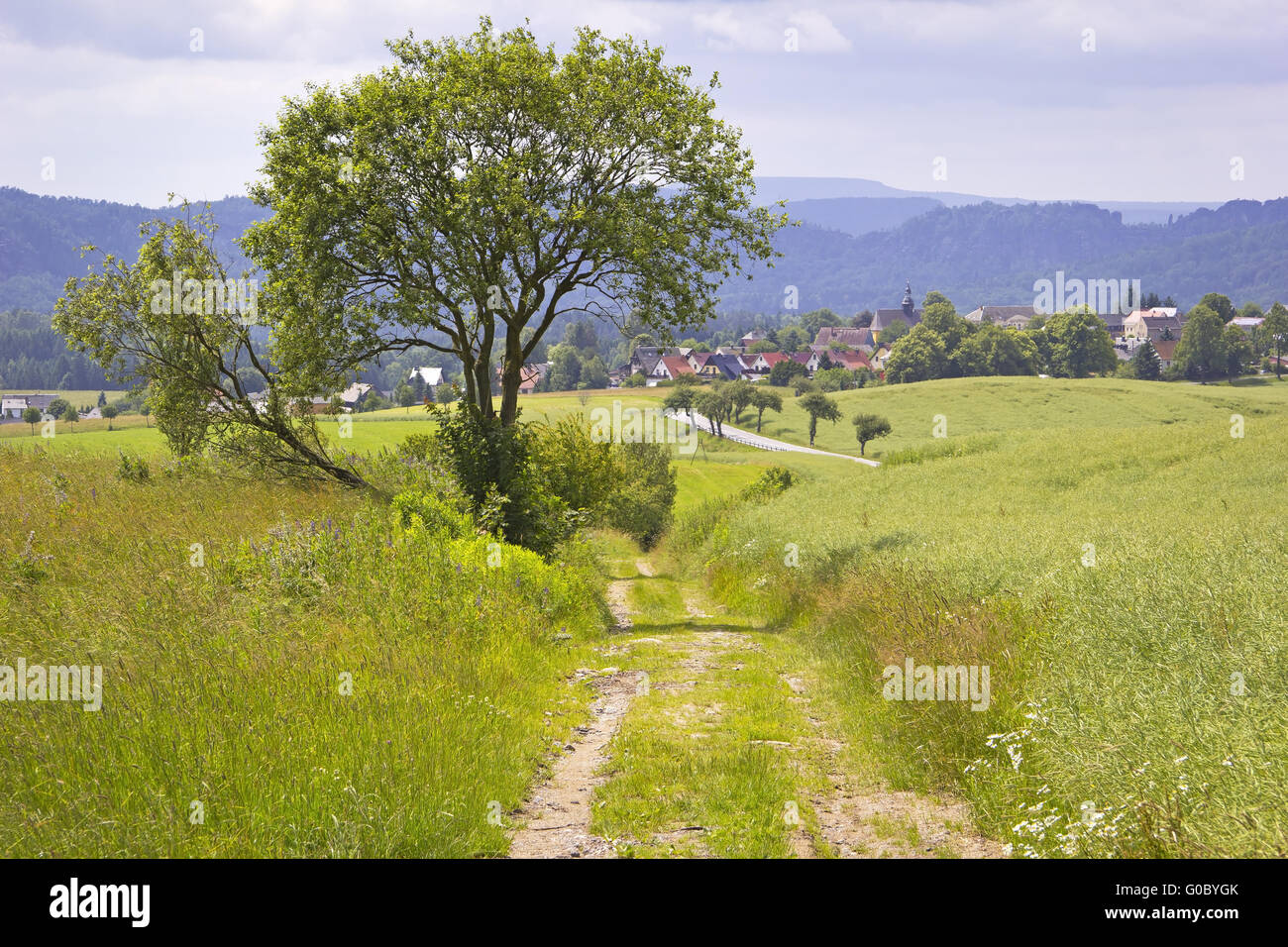 Grass idyllic hi-res stock photography and images - Alamy