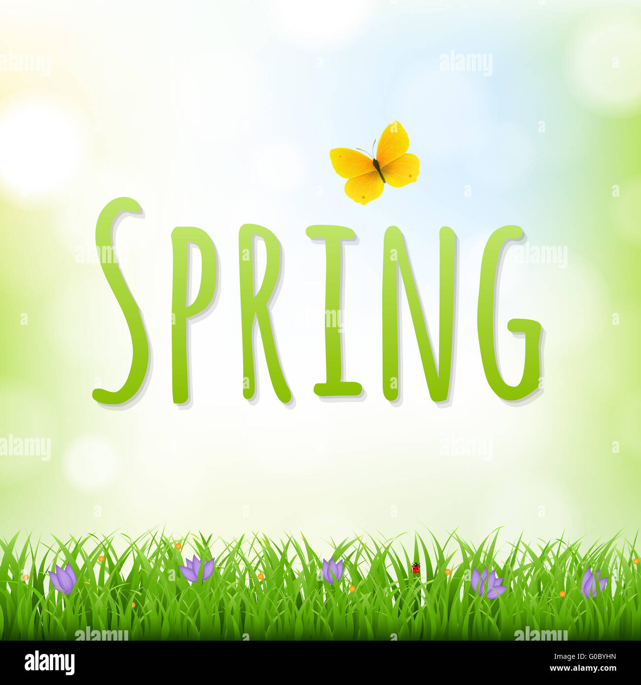 Spring Nature Background With Grass Border And Flowers Stock Photo - Alamy