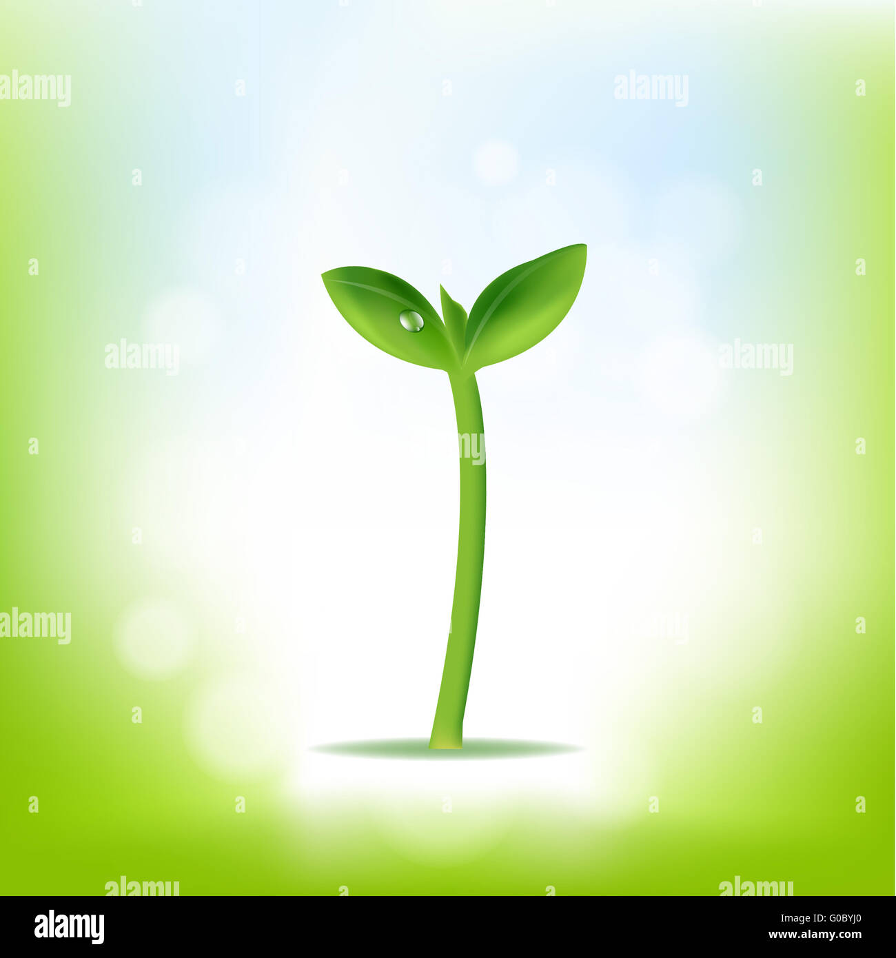 Nature Background With Plant Stock Photo - Alamy
