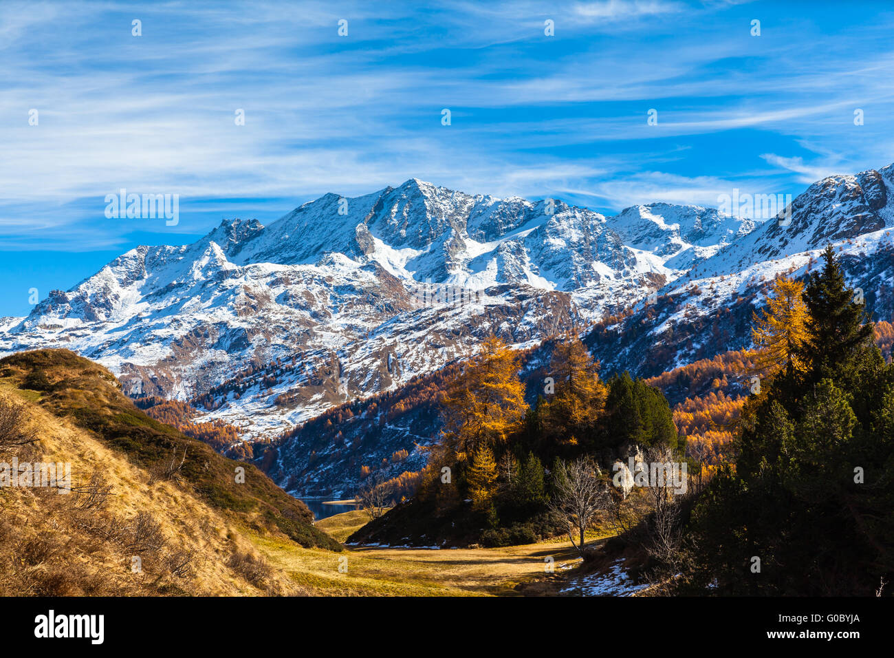 Autumn Trees In Swiss Alps High Resolution Stock Photography and Images ...