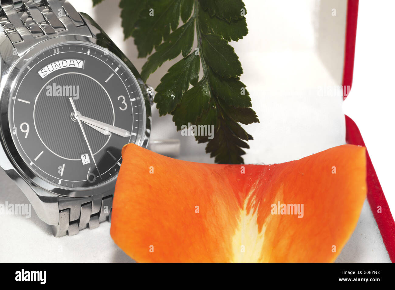 Valuable watch hi-res stock photography and images - Alamy