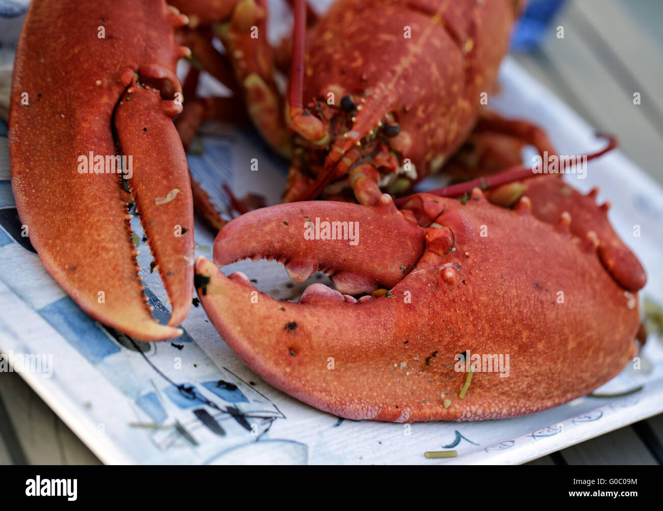 Whole cooked red lobster hi-res stock photography and images - Alamy