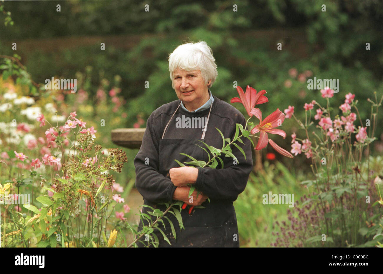 Liz Lochead painter in her garden in Edinburgh Stock Photo - Alamy