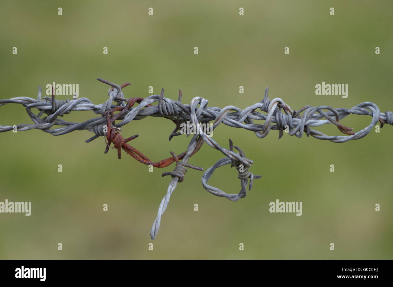 Wire barriere hi-res stock photography and images - Alamy