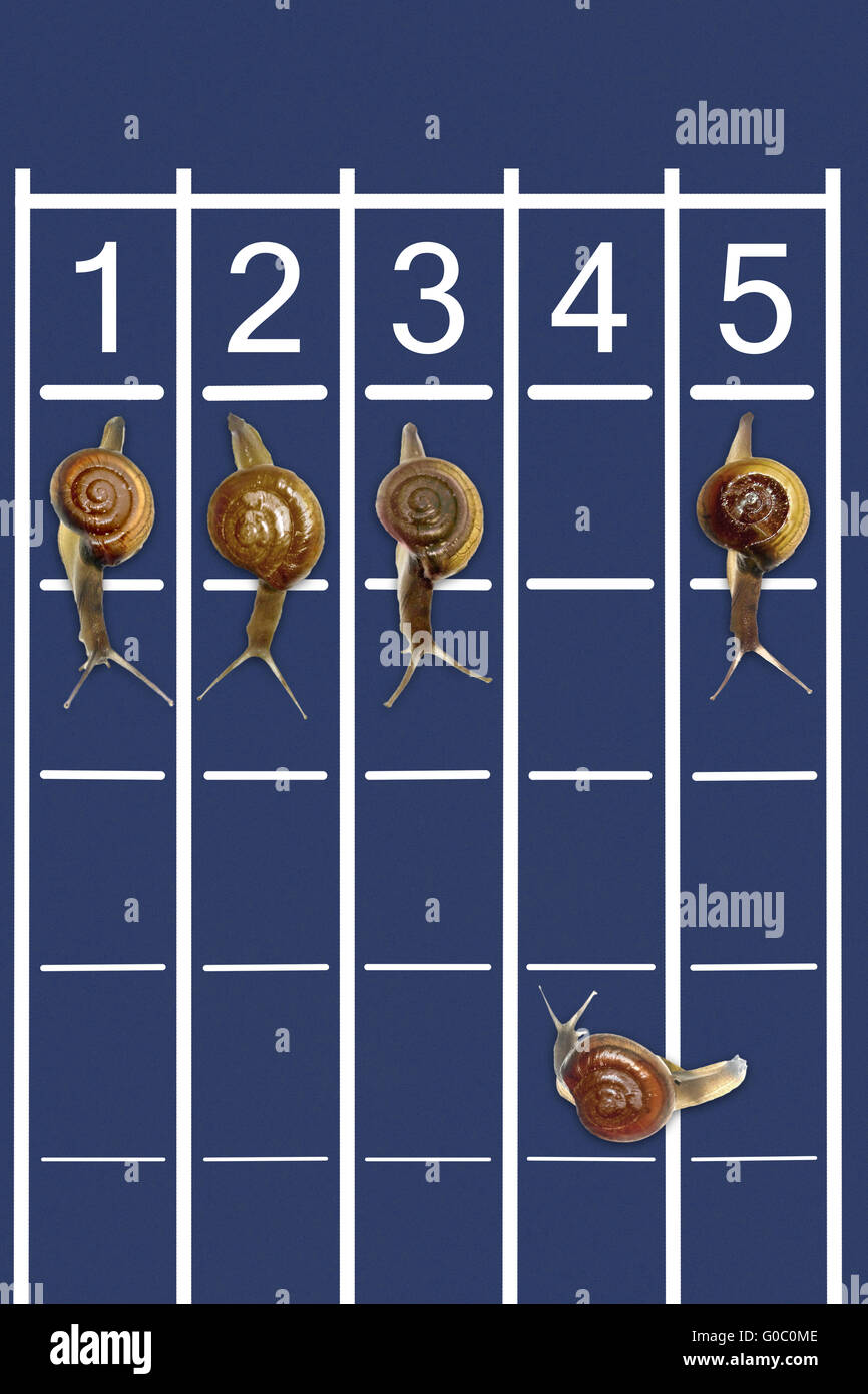 Snails running on track with one snail going backwords Stock Photo - Alamy