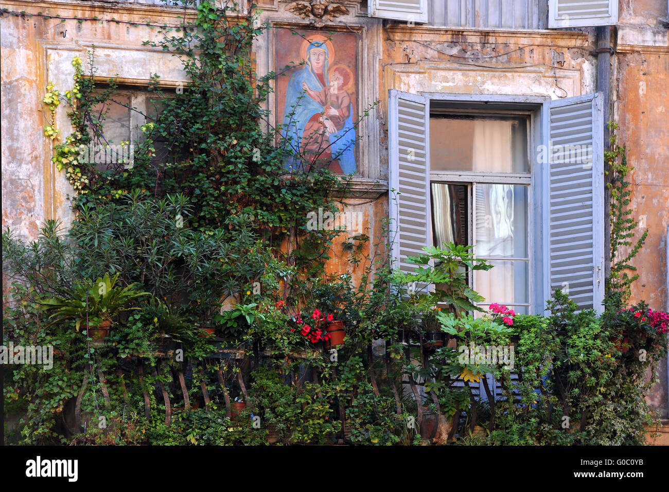 Overgrown Garden in the Balcony Stock Photo - Alamy