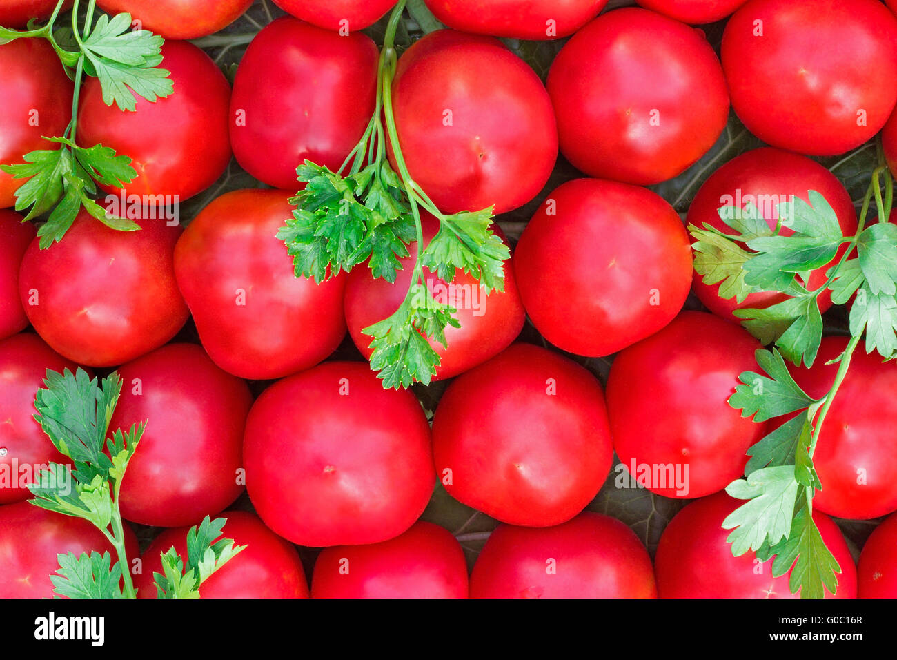 Ripe tomatoes of bright red color of the small siz Stock Photo - Alamy