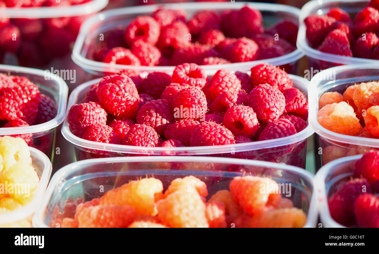 Raspberries in containers for sale Stock Photo - Alamy