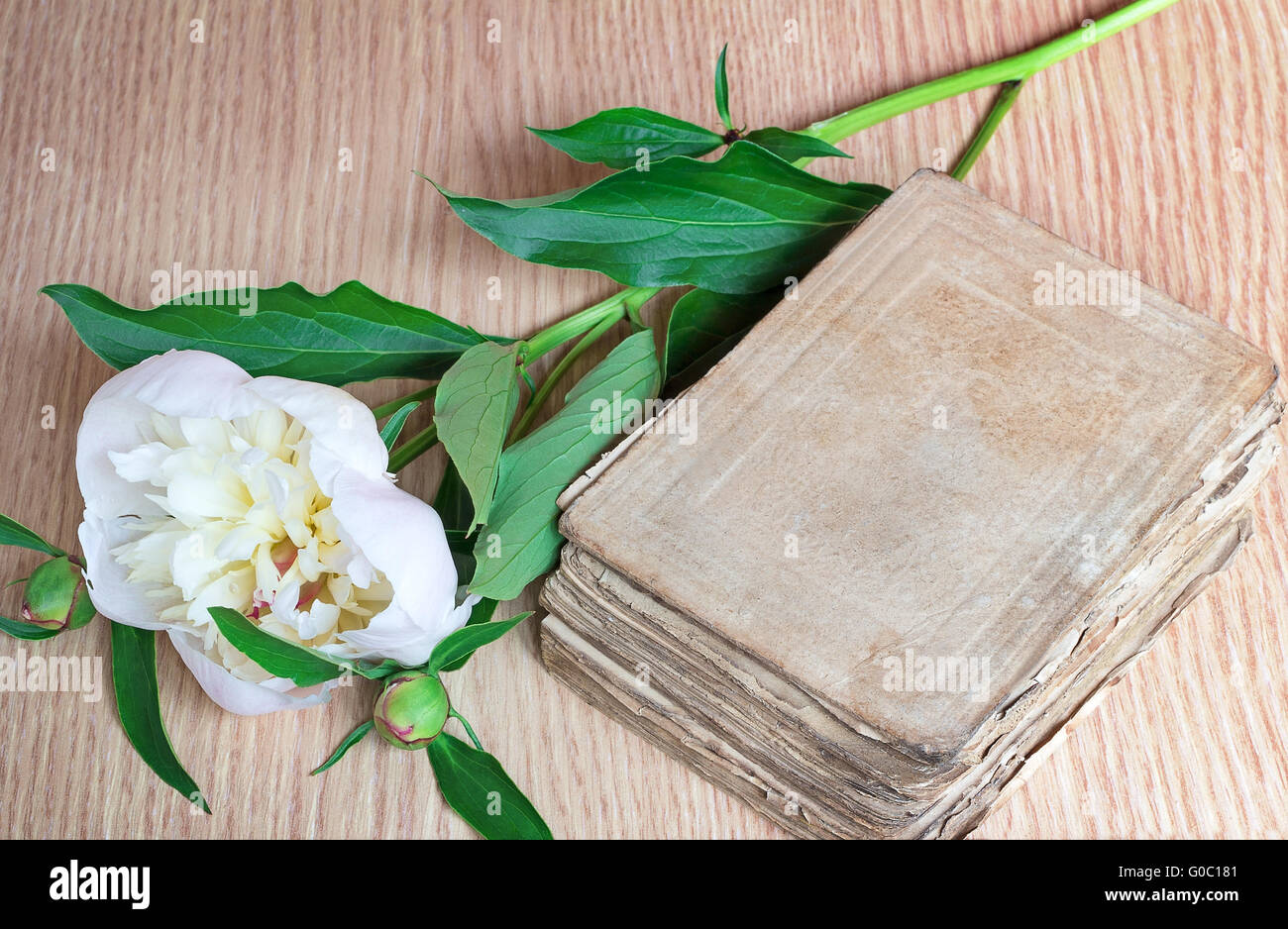 Background peo hi-res stock photography and images - Alamy