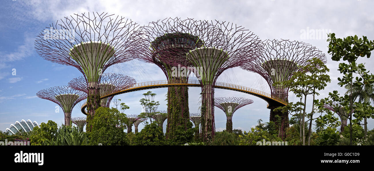 Panorama Supertrees, Gardens by the Bay, Singapore Stock Photo - Alamy