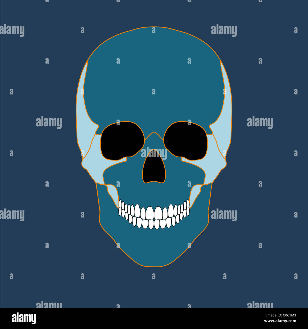 Vector illustration of colored skull Stock Photo - Alamy
