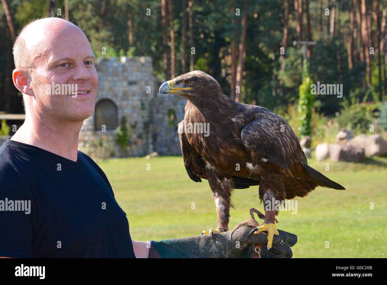 Eagle On Hand High Resolution Stock Photography and Images - Alamy