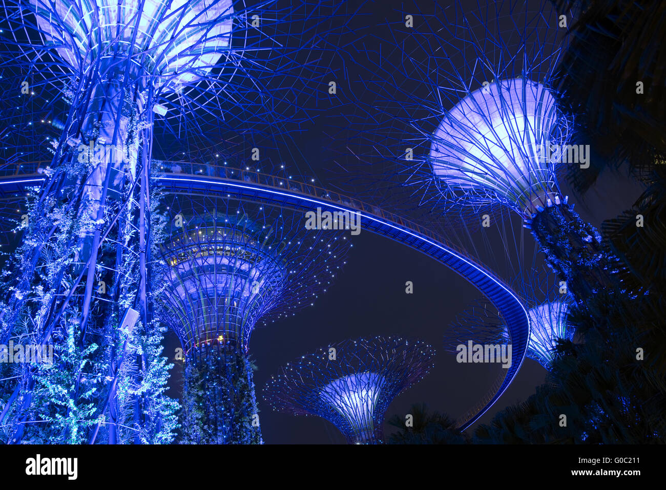 Supertrees, Gardens by the Bay, Singapore Stock Photo - Alamy