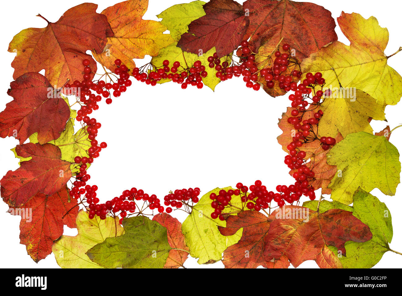 Autumn Leaf Frame Stock Photo - Alamy