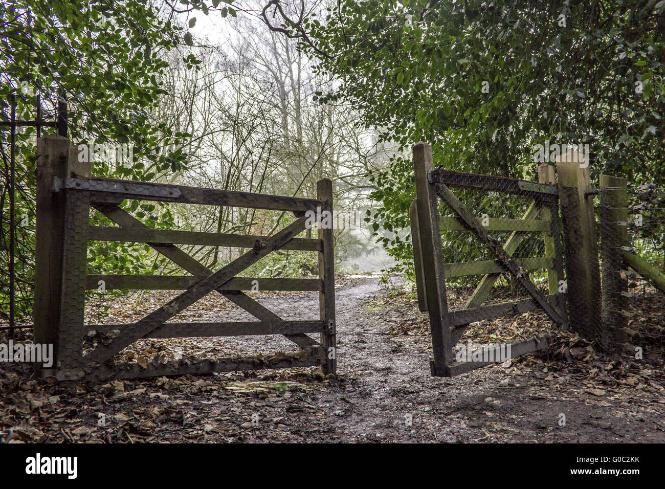 Wishing Gate High Resolution Stock Photography and Images - Alamy