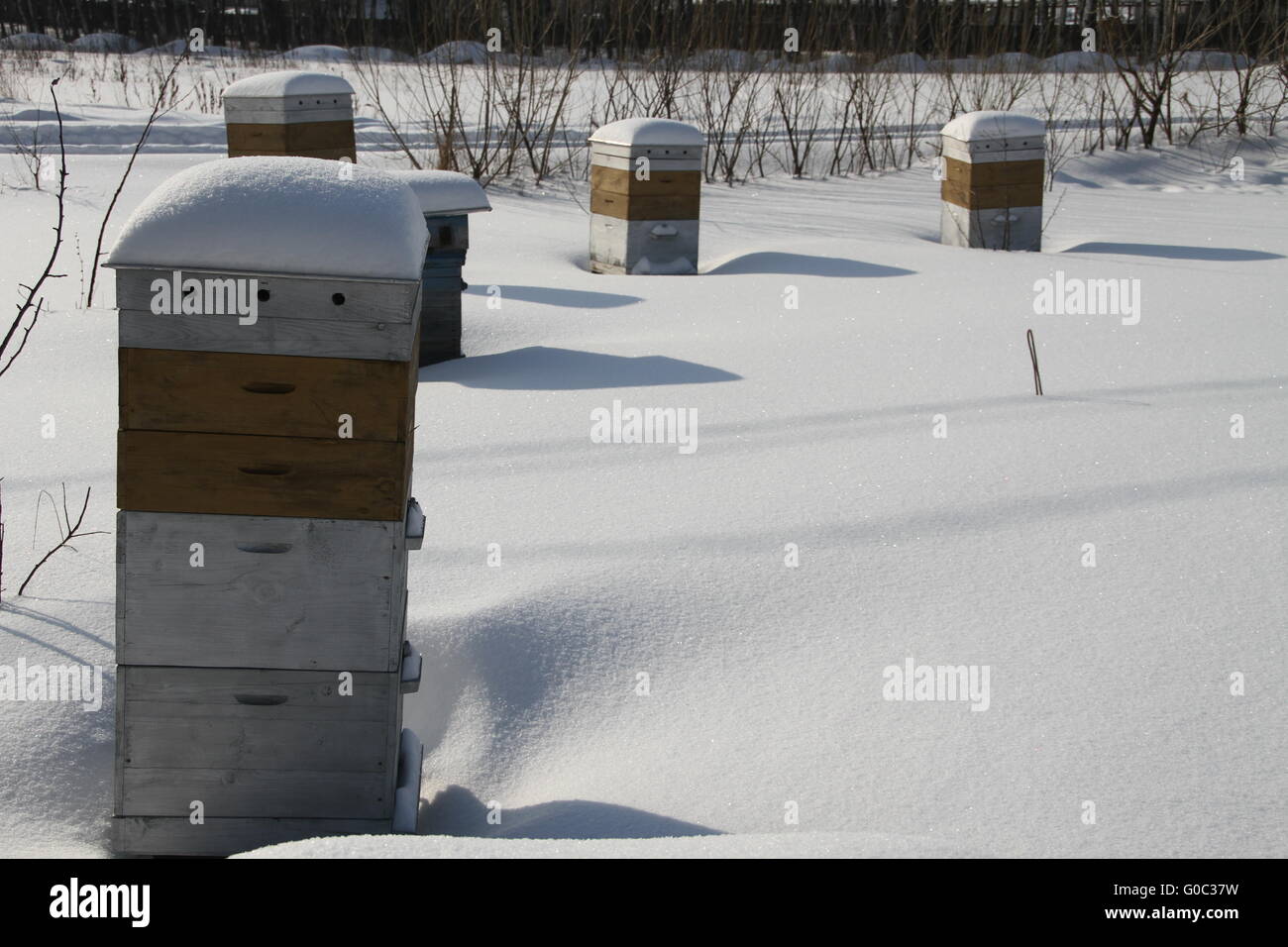 Hives of bees in winter Stock Photo - Alamy