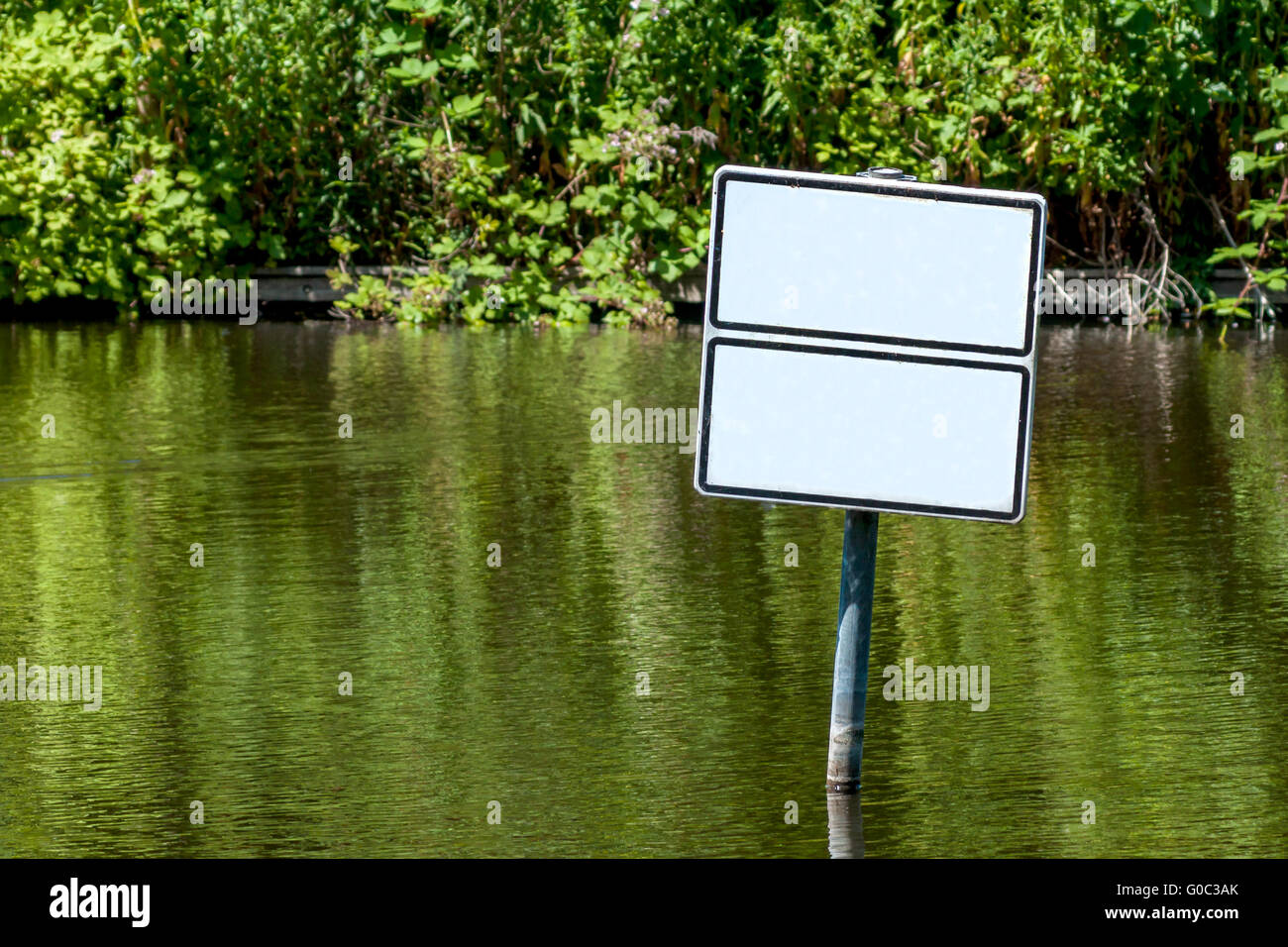 Waters with two empty white plates and green veget Stock Photo - Alamy