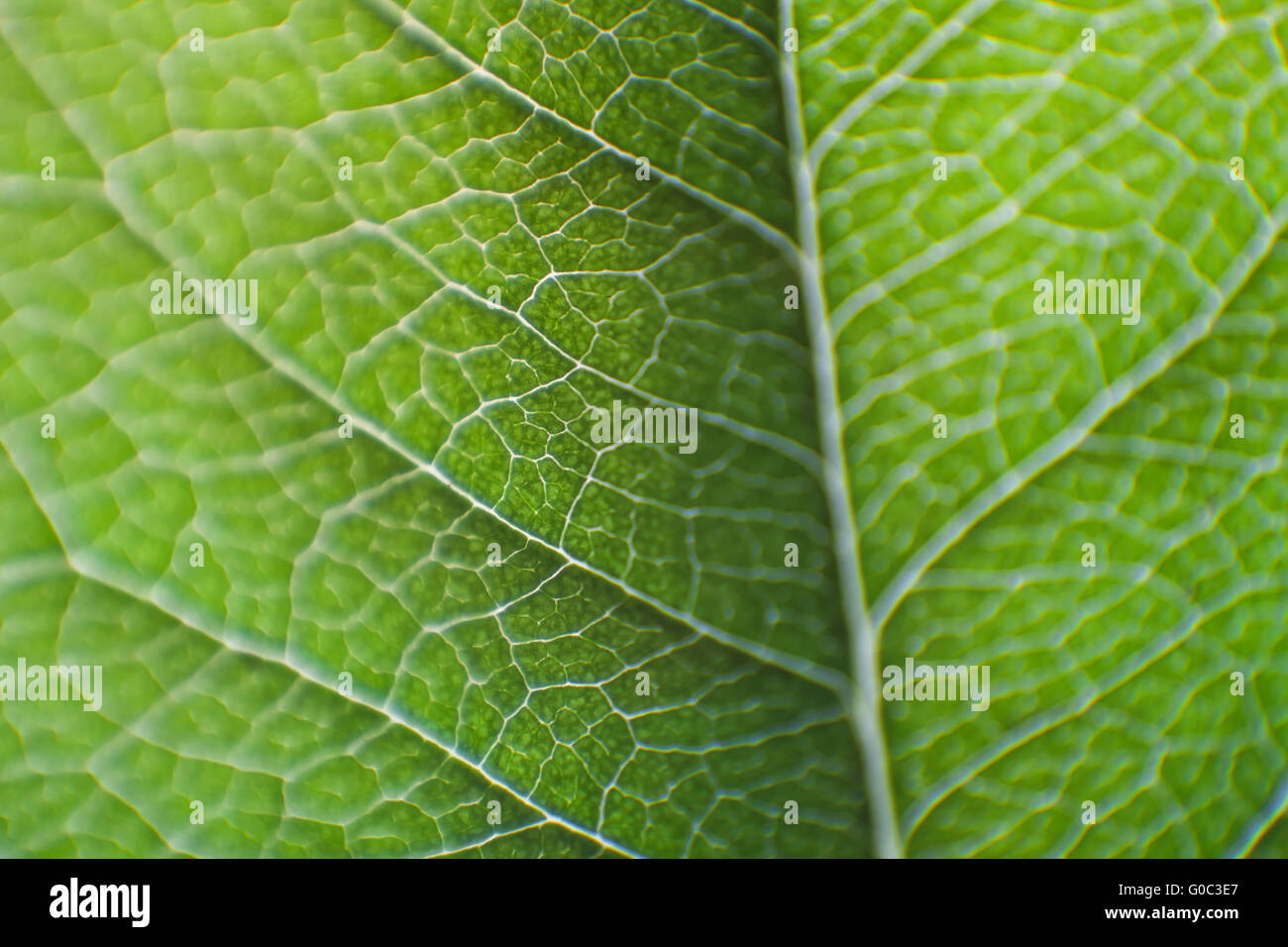 Lifelines hi-res stock photography and images - Alamy