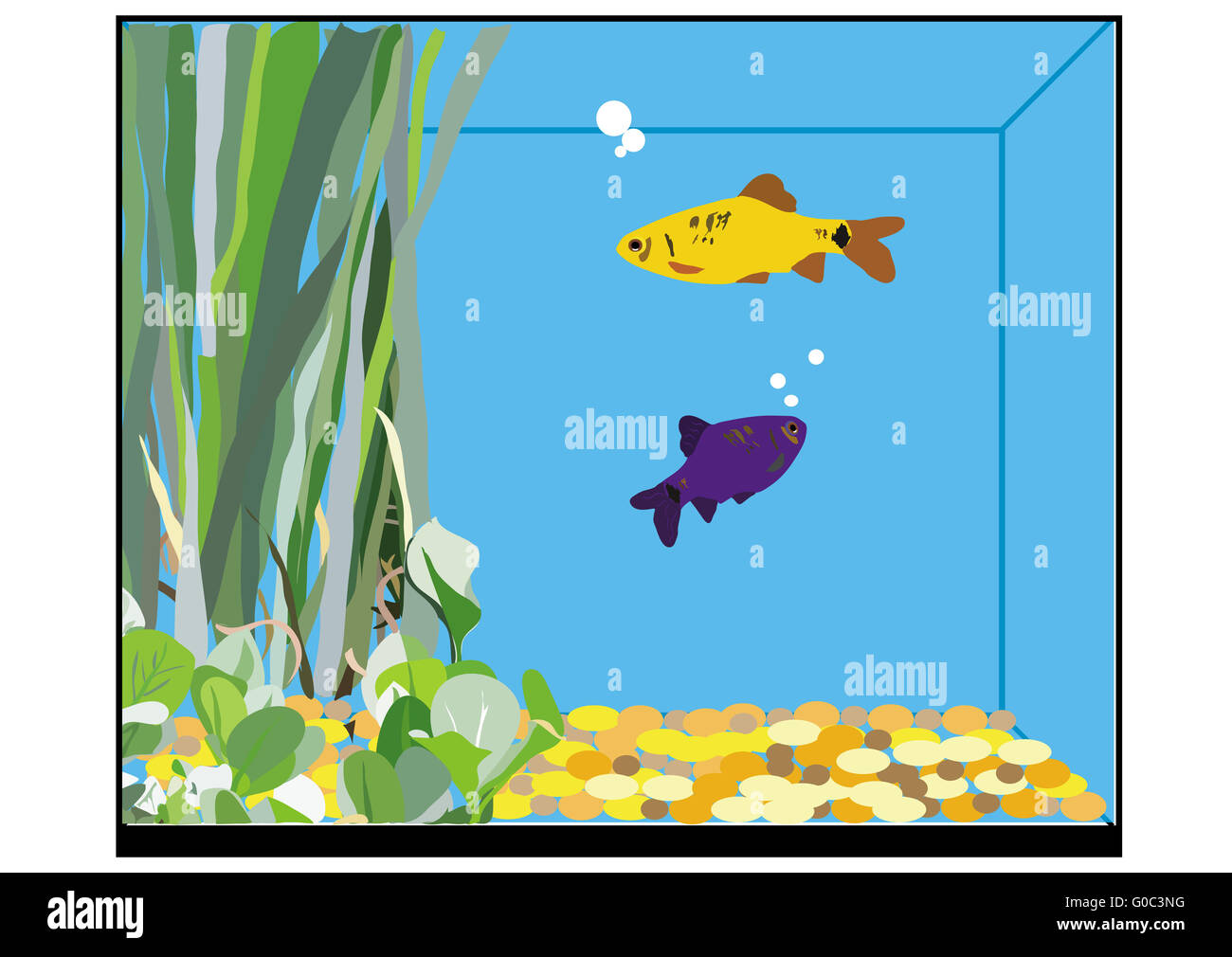 a fish tank Stock Photo - Alamy