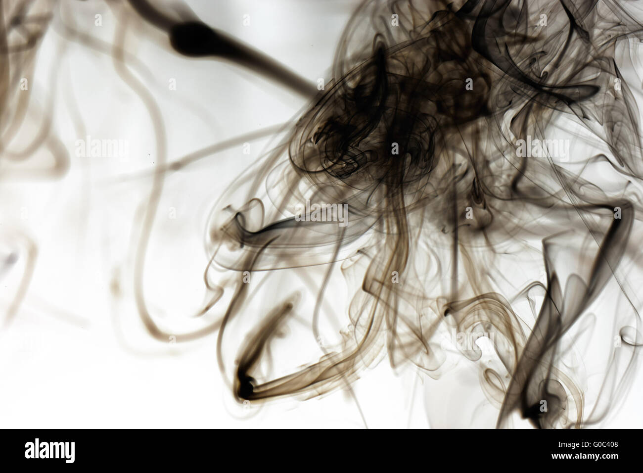 Beautiful smoke on the white background - macro photo Stock Photo - Alamy