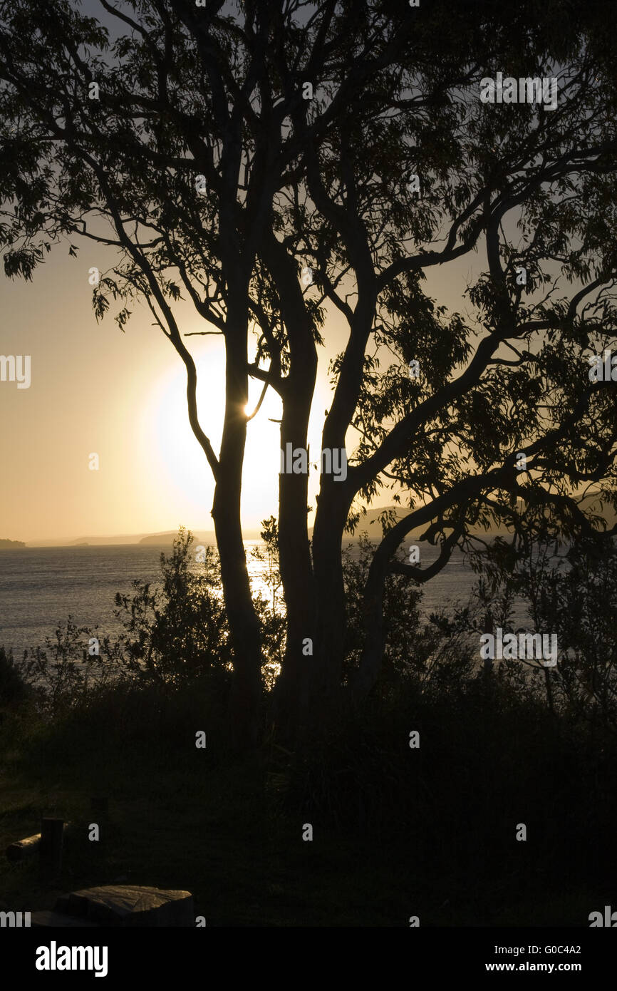 Sundown at the australian coast Stock Photo - Alamy