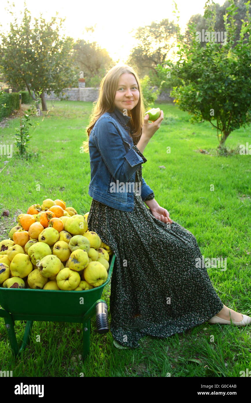 beautiful girl collecting fresh fruit Stock Photo - Alamy