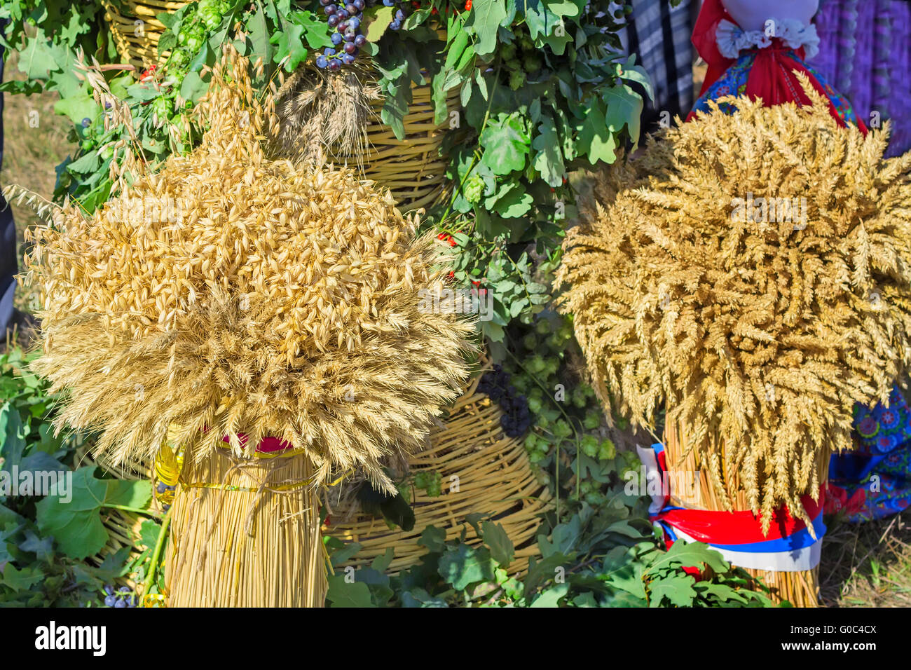 Two sheaf of wheat , barley, rye on the background Stock Photo - Alamy