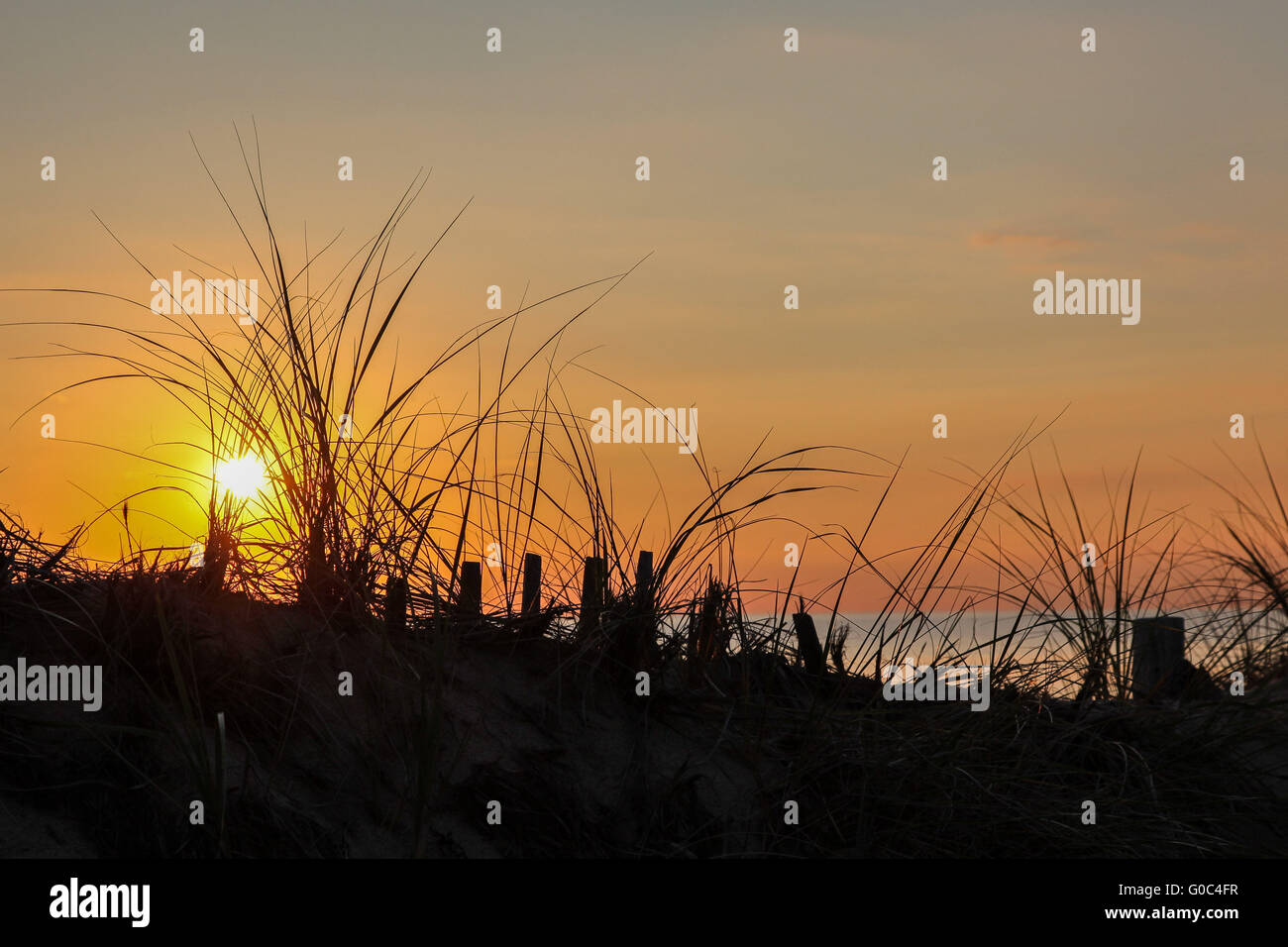 Grass at ocean hi-res stock photography and images - Alamy