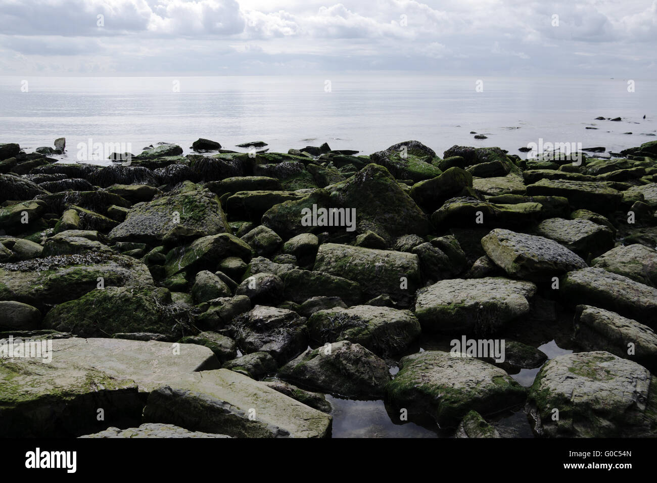 Primeval ocean hi-res stock photography and images - Alamy