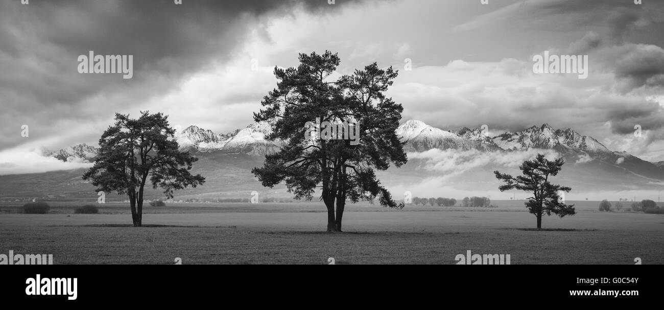 Three trees in front of mountains Stock Photo - Alamy