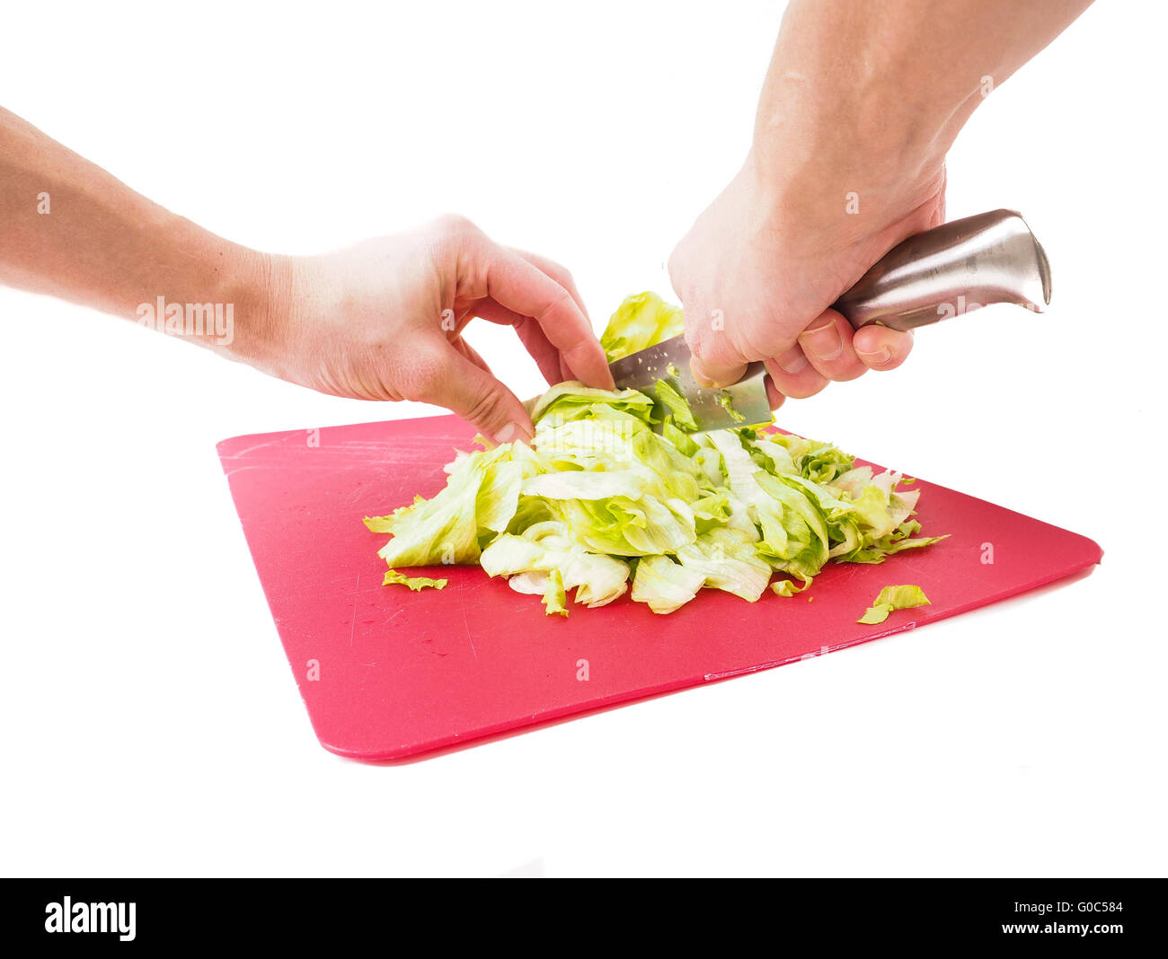 Hands cutting fresh green lettuce Stock Photo - Alamy