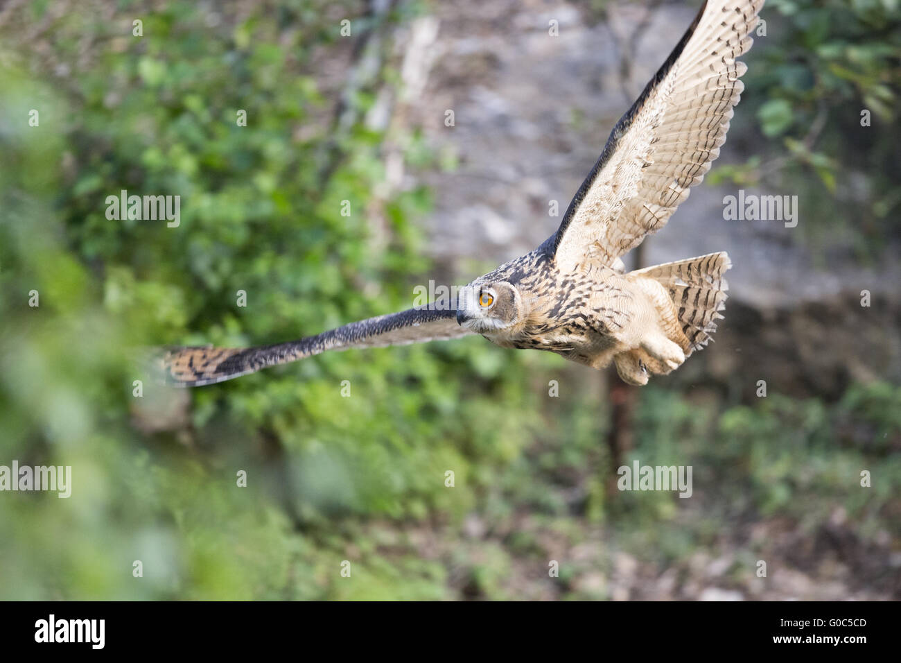 Flying germany hi-res stock photography and images - Alamy