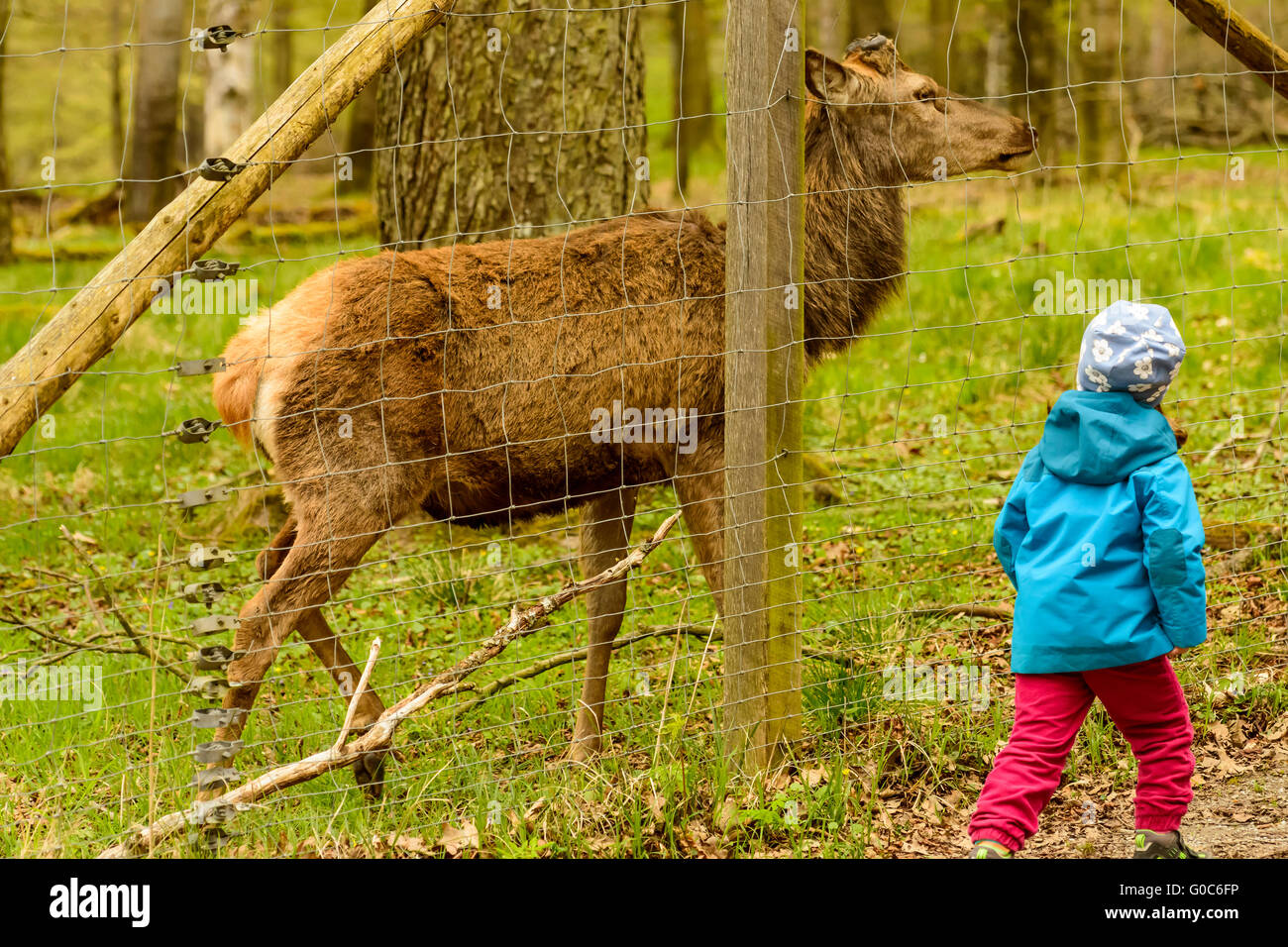 deer and child, Stuttgart Stock Photo - Alamy