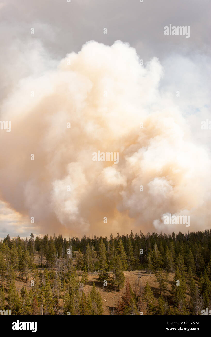 Orange sky forest fire hi-res stock photography and images - Alamy
