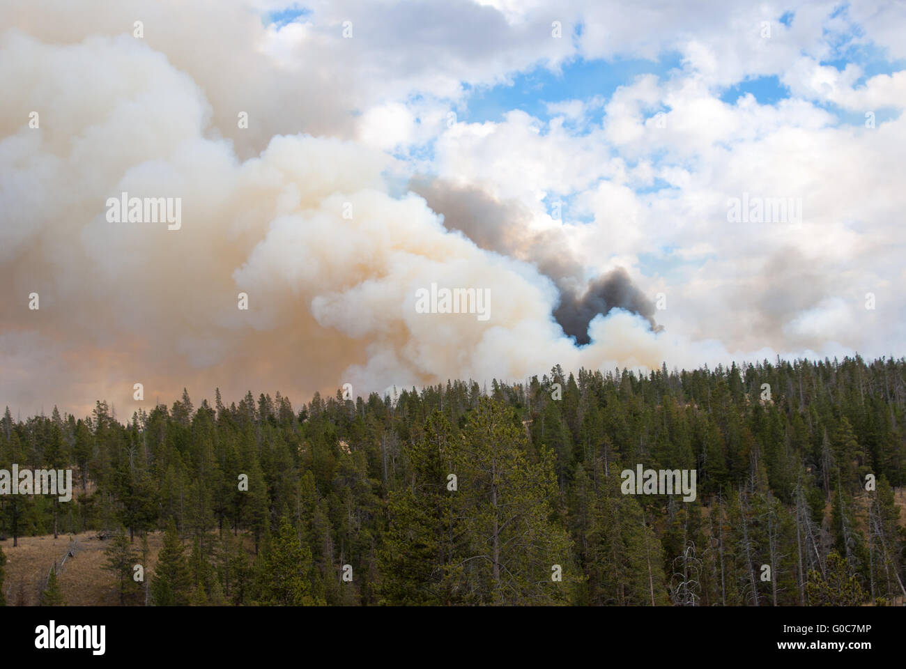 Forest fire clouds in Yellowstone Stock Photo - Alamy