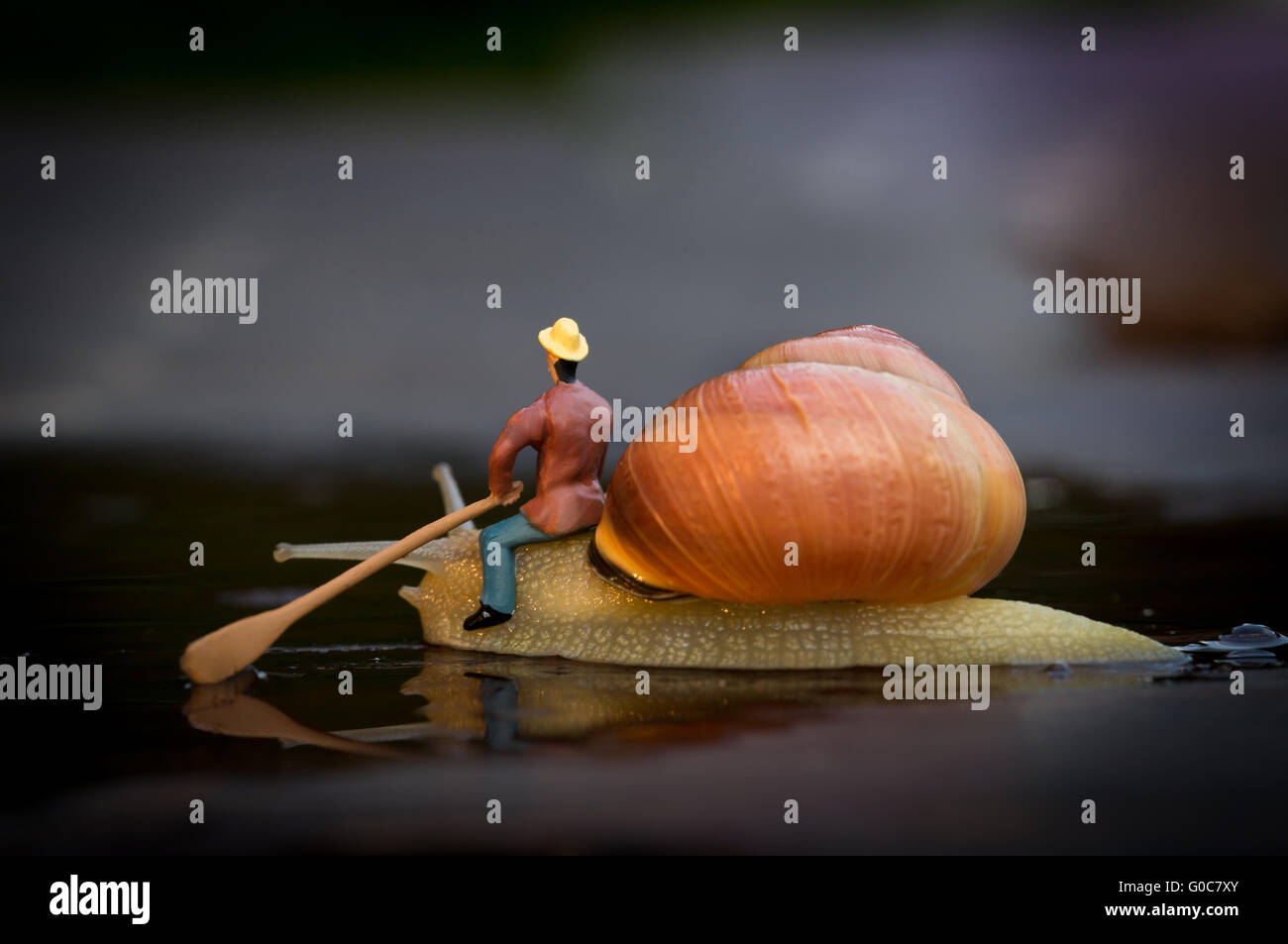 Tales schiff hi-res stock photography and images - Alamy