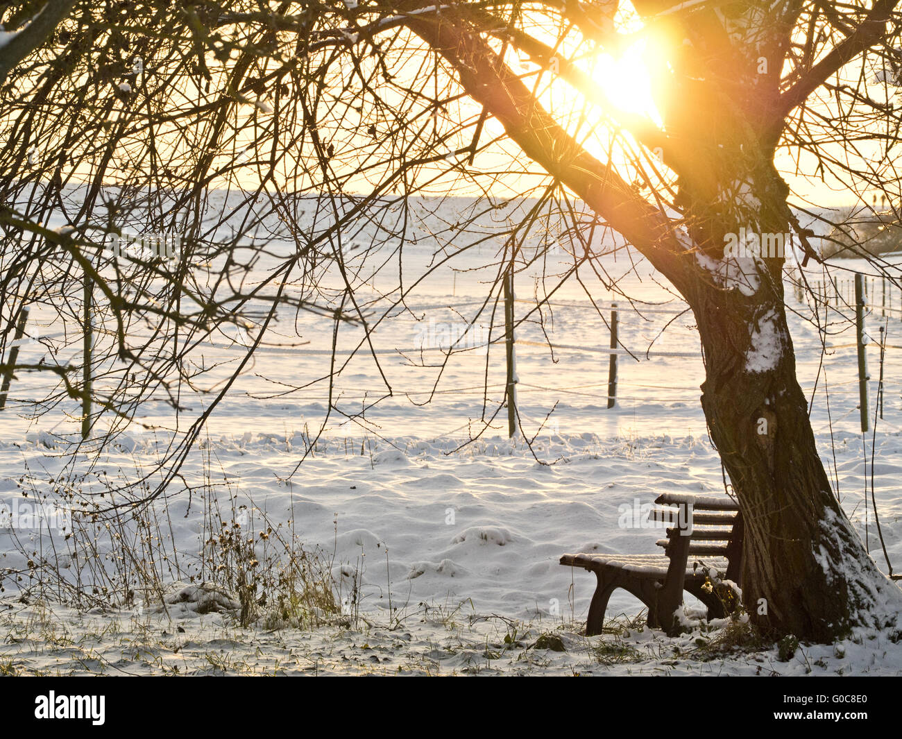 Snowy lakeshore hi-res stock photography and images - Alamy