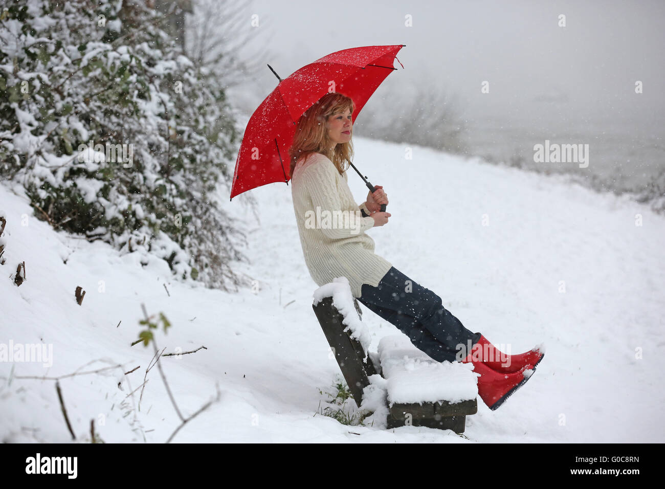 Snow Fall Rest Stock Photo - Alamy