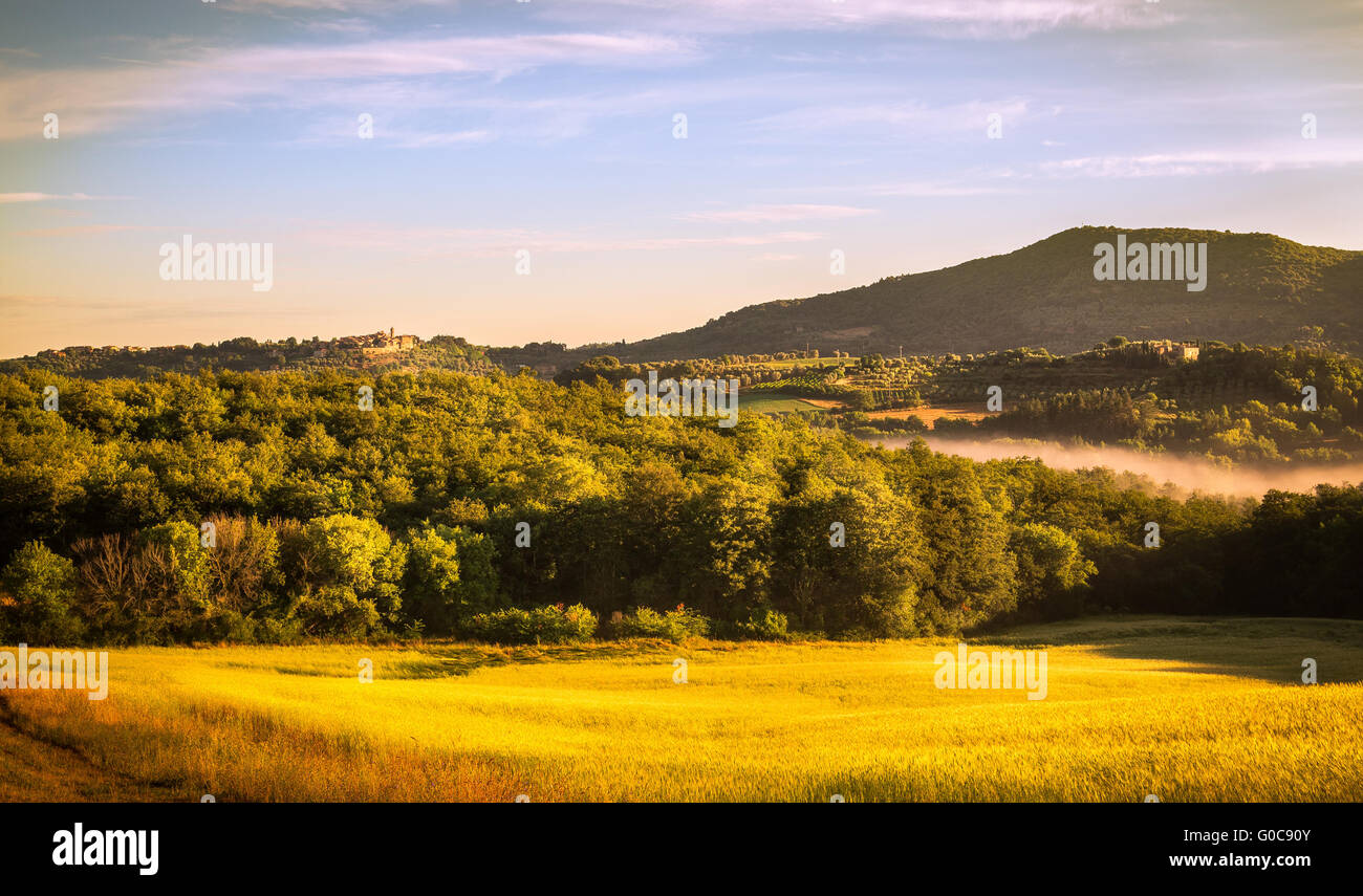Morning landscape in Tuscany. Beautiful italian countryside scenery ...