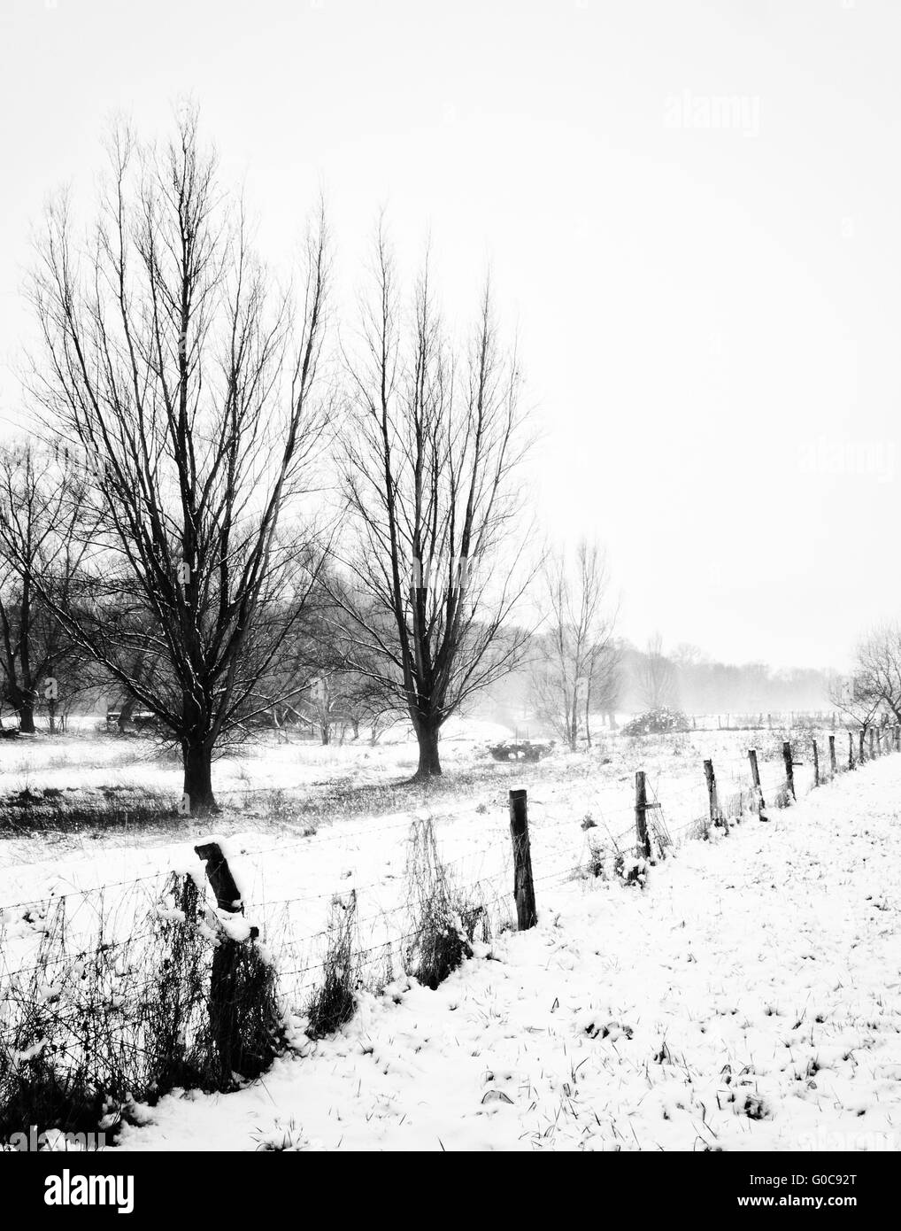 Snowland hi-res stock photography and images - Alamy