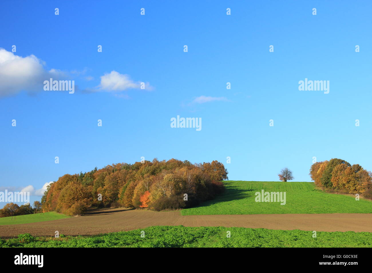 Landscape lusatia hi-res stock photography and images - Alamy