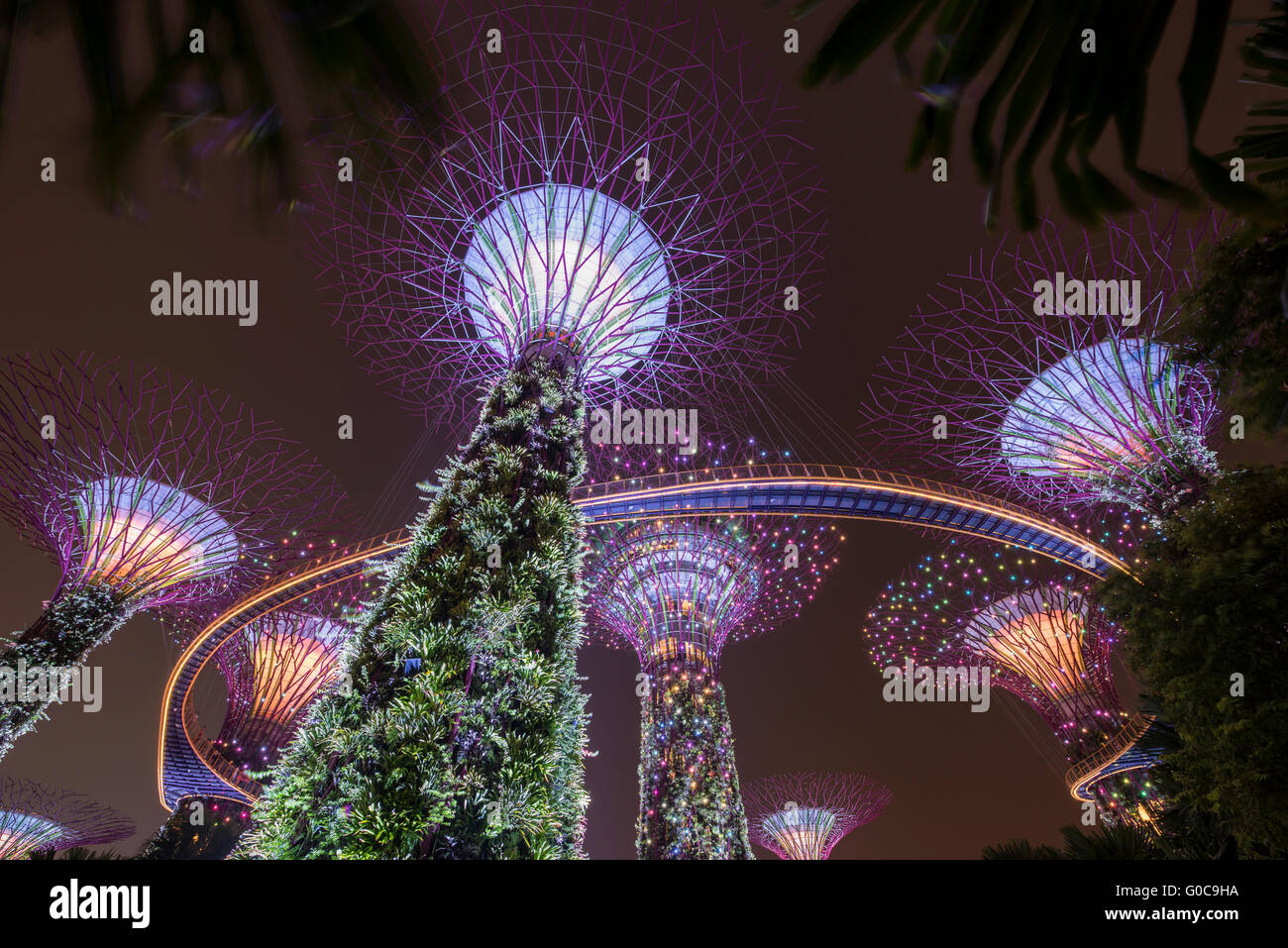 The Supertree Grove during the Evening Garden Rhapsody Sound and Light ...