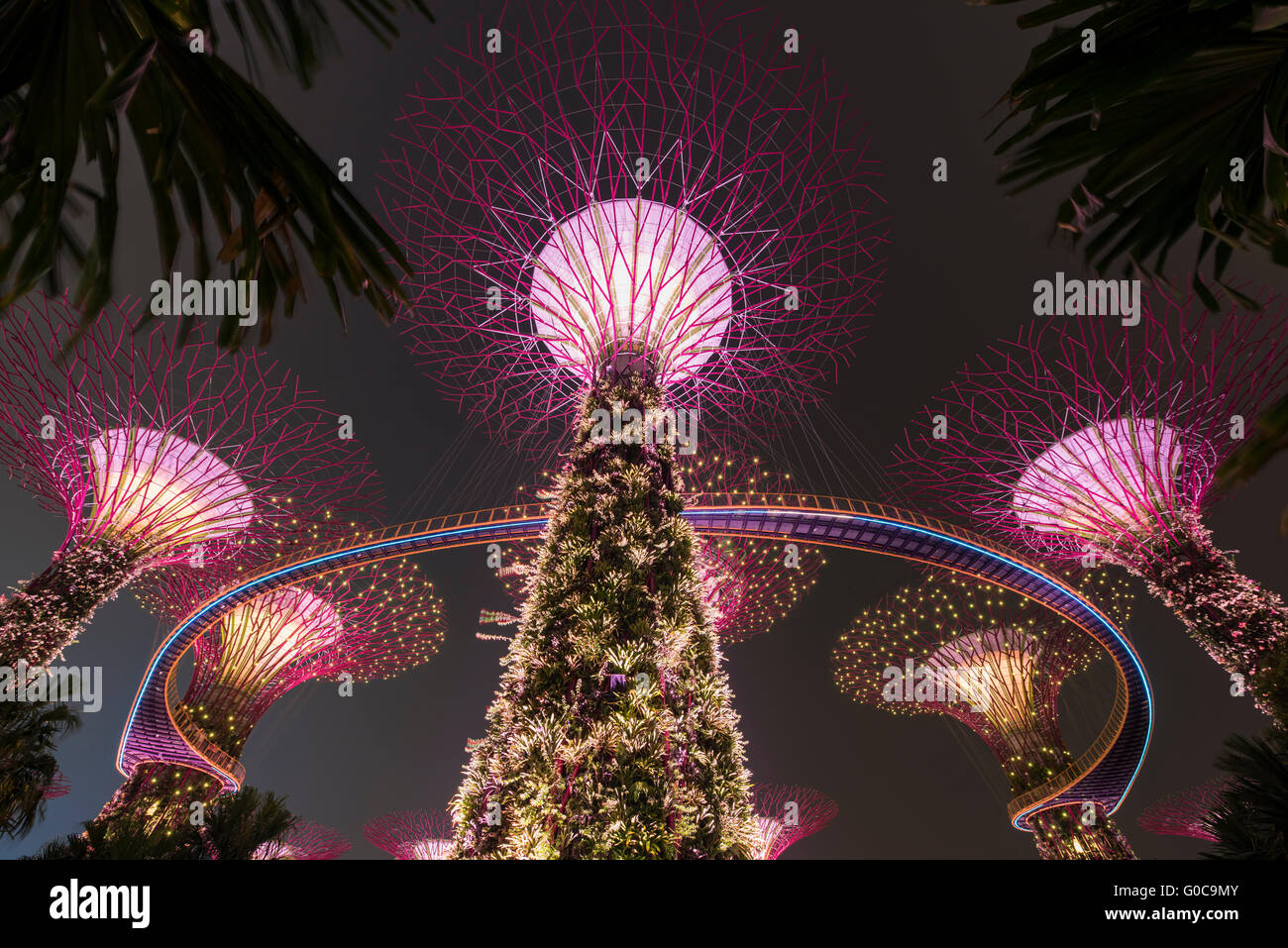 The Supertree Grove during the Evening Garden Rhapsody Sound and Light ...
