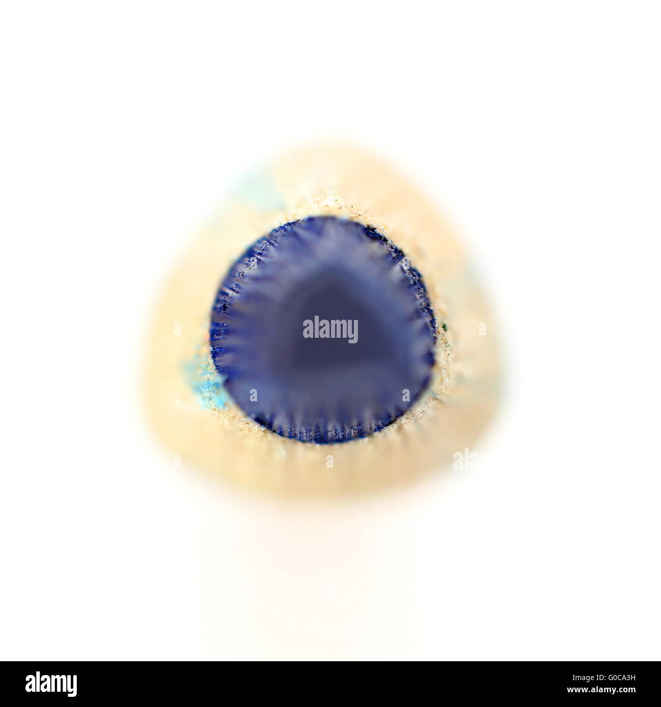 Lila farben Cut Out Stock Images & Pictures - Alamy